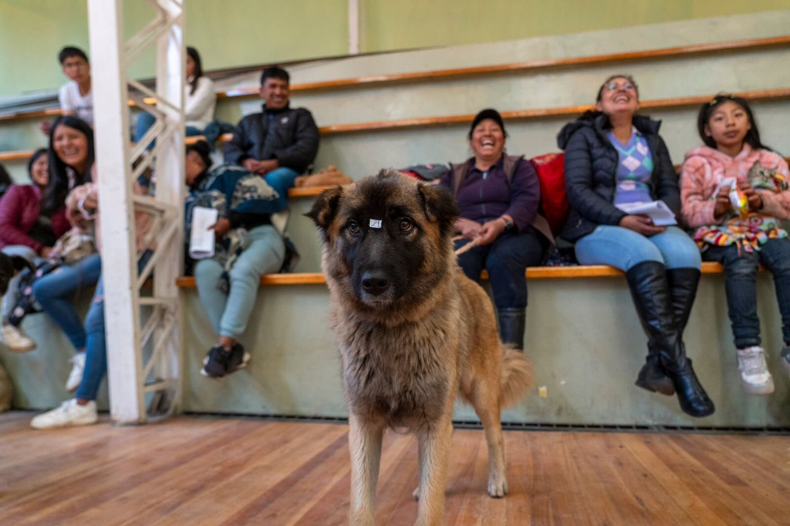 Quimiag suma 40 huellitas a las más de 500 esterilizaciones del mes de ...